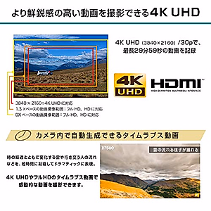 Nikon D7500 20.9MP DX-Format 4K Ultra HD DSLR Digital Camera (Body Only) - (Japan Import)