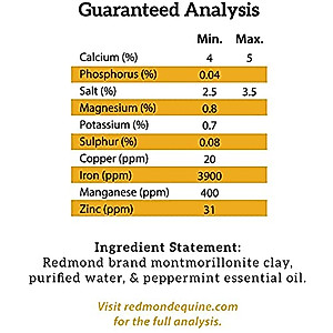 REDMOND Daily Gold Syringe Natural Healing Clay for Gastric Ulcers in Horses (Stress Relief Pre-Race Paste) (Single Pack)