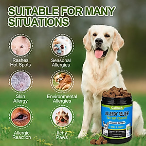 Dog Allergy Relief Chews, Salmon Oil Skin & Coat Supplement with Colostrum, Probiotics, Dog Itching Skin Relief, Dry Skin, Itchy Paws - Seasonal Allergies & Hot Spots Support Treats - 180 Count 450g