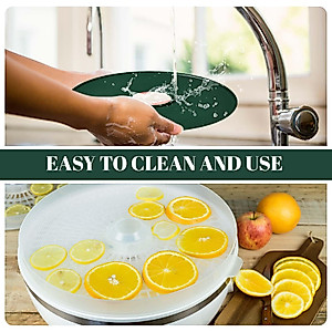 Domensi 12 Pcs Round Dehydrator Sheets Non Stick Silicone Dehydrator Mats with Edges Mesh Dehydrator Trays Reusable Roll Dehydrator Tray Liner for Fruit Meat Beef Kitchen, 13 12.5 Diameter