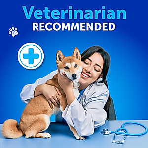 Artullano Dog Allergy Relief Chews - Dog Itching Skin Relief Treatment Pills - Itchy and Paw Licking - Anti-Itch Support - Immune Skin & Coat Supplement - Dry Skin and Hot Spots - 180 Treats