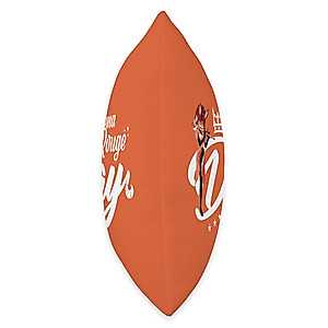 Miraculous Ladybug King's Day with Rena Rouge Throw Pillow, 16x16, Multicolor