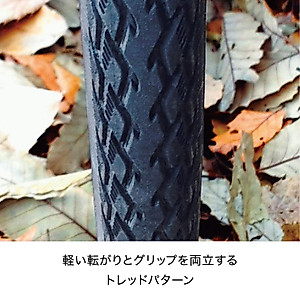 SCHWALBE Marathon GG RLX Wire Bead Tire (700X38)