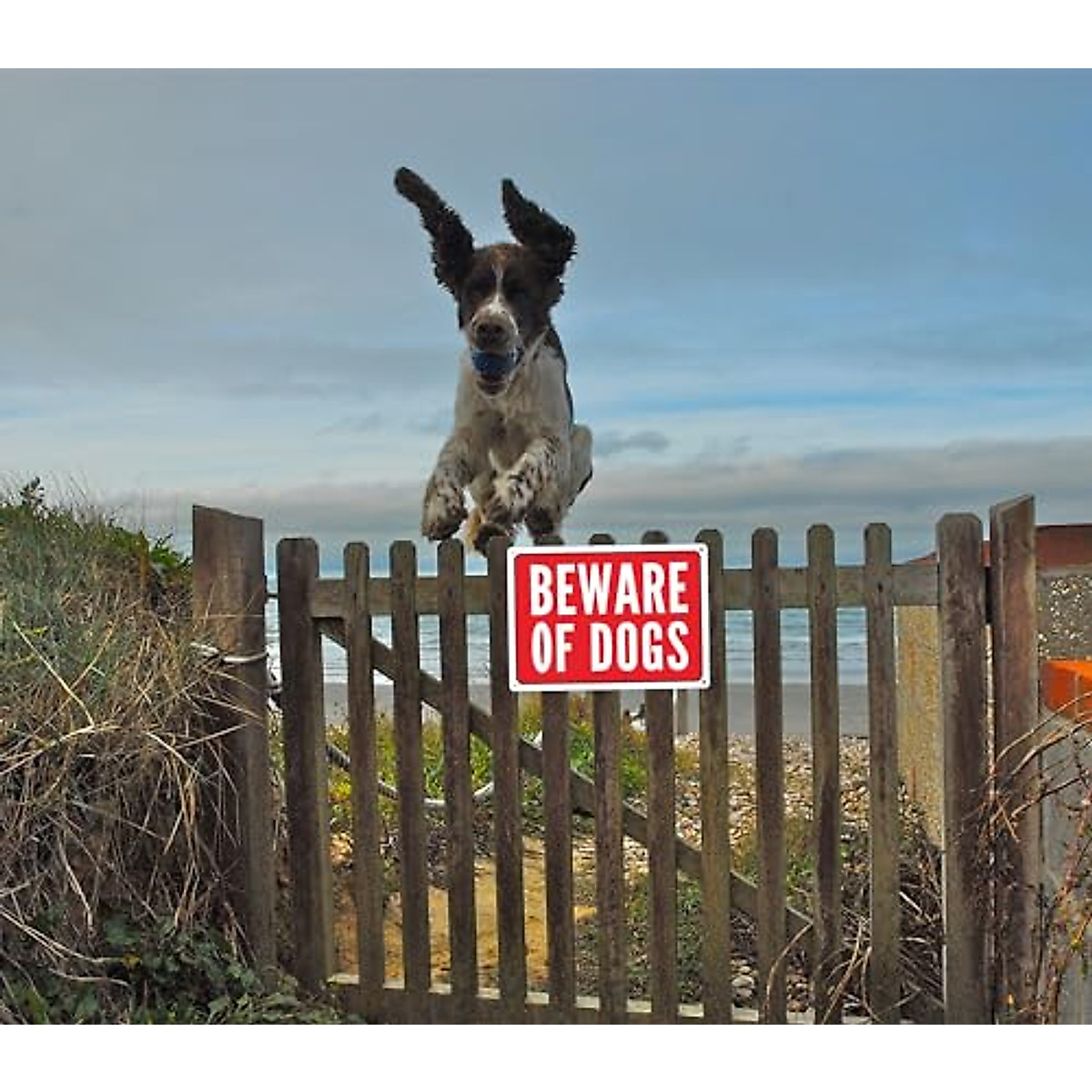 Beware of Dog Sign, Metal Warning the Dogs Signs for Fence Gate, 2 Pack 10 x 7 inches, for Indoor and Outdoor Use, No Fade Aluminum Weatherproof Long Lasting Red Ink (10 x 7, RED)