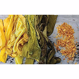 Natural Palettes: Inspiration from Plant-Based Color