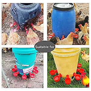 Large Automatic Chicken Filling Water Cup Poultry Waterer Kit Auto Watering Drinker System Drinking Feeder Cup for Ducks Turkeys Quail Chicks (3 Pack)