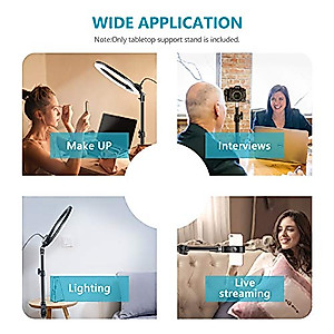 Neewer Tabletop Light Stand Clip Stand with 1/4inch Screw for Ring Light and LED Light, Aluminum Alloy, Adjustable 12.5-20.6 inches/32-52cm for Make Up, Live Streaming, Photo Video Shooting