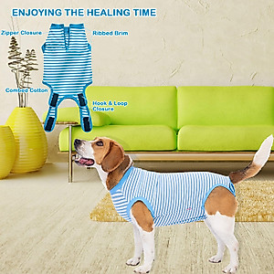 Wabdhally Dog Surgery Recovery Suit,Surgical Suit for Large Female Spay,Soft Combed Cotton,Blue Striped Zipper Onesie XXL