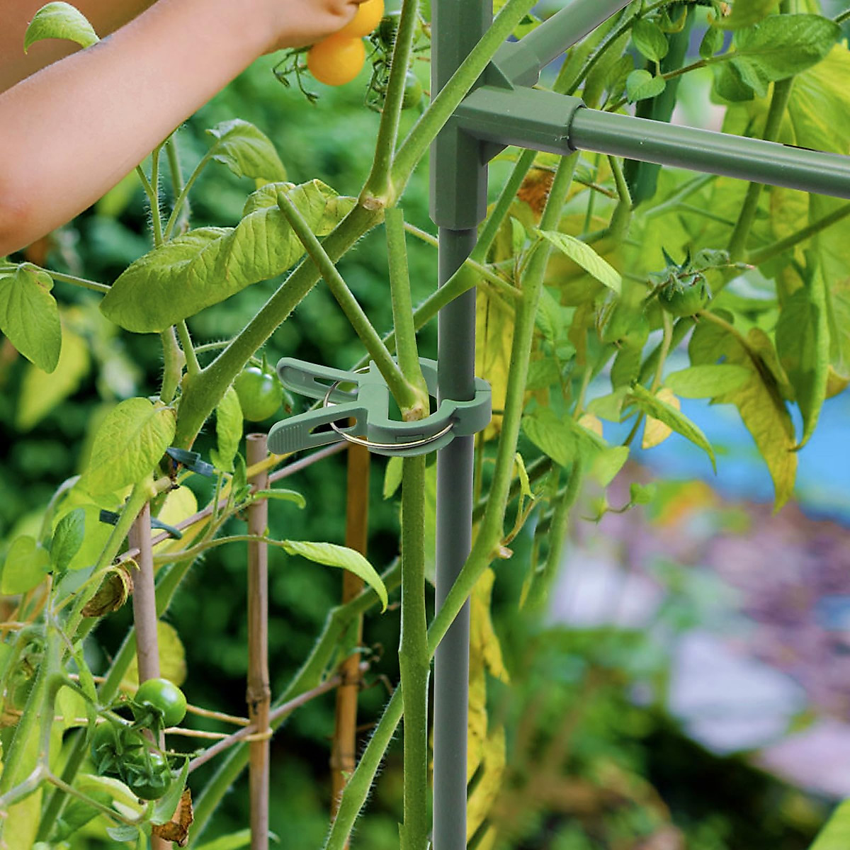 MYMULIKE Tomato Cages for Garden, 3 Pack Square Tomato Cage Heavy Duty, Height-Adjustable Tomato Trellis for Raised Garden Bed, Plants, Flowers Support Stakes- 10 Clips Included