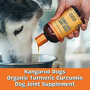 Kangaroo Dogs Organic Turmeric Curcumin Dog Joint Supplement - Liquid for Faster and Better Absorption Natural Dog Joint Supplement Liquid (8 oz)