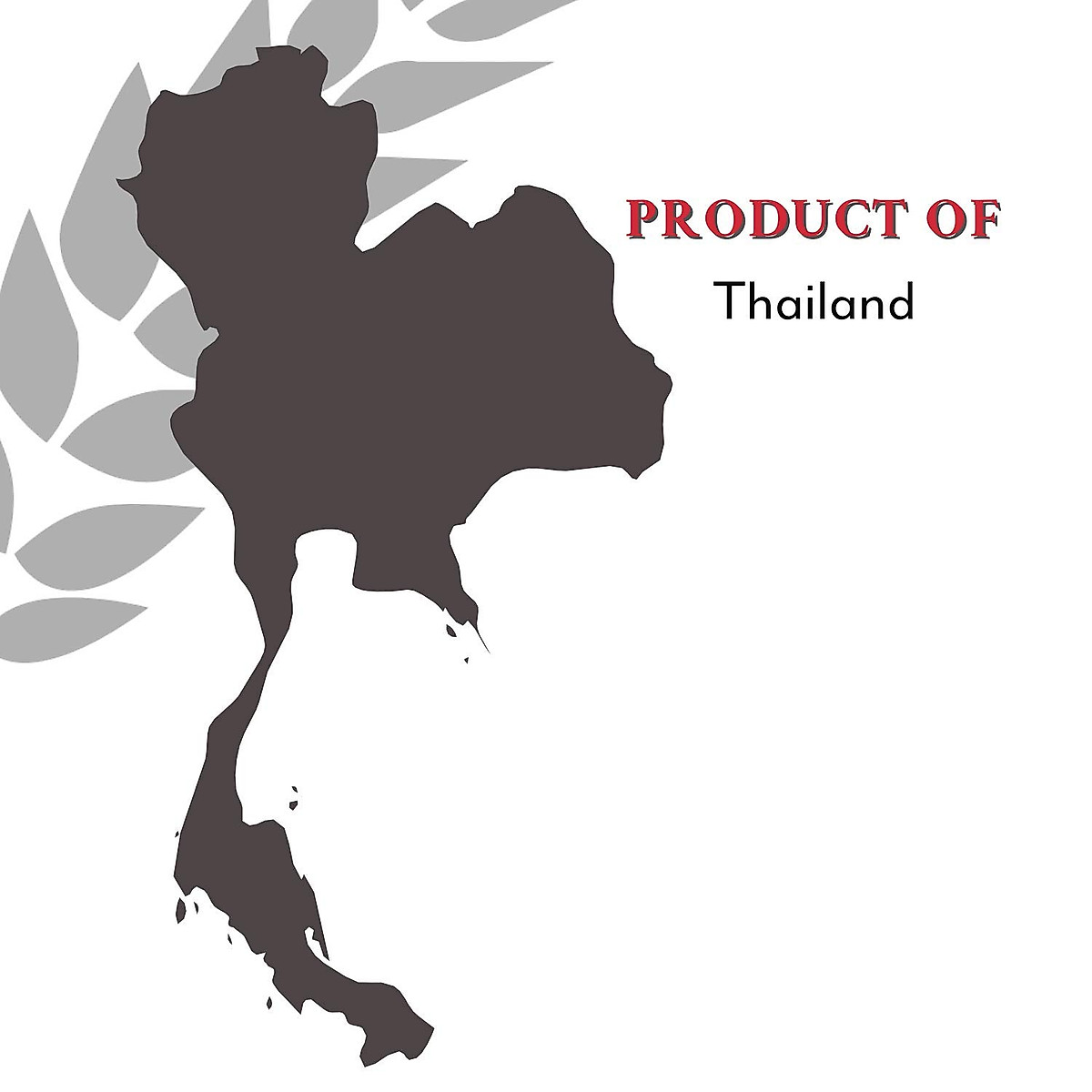 Roland Foods Fragrant Jasmine Rice from Thailand, 20 Lb Bag