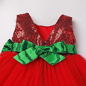 Infant Baby Girl First Birthday Dress Cake Smash Outfits Toddler Watermelon Tulle Tutu Halloween Christmas Cosplay Outfits Easter Baptism Princess Dress for Photo Shoot Red-Watermelon 12-18 Months