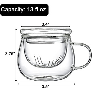 Set of 2 Glass Tea Cups Tea Mug with Infuser and Lid - Heat Resistant Borosilicate Glass, Clear Teacup with Strainer for Loose Leaf Tea, Blooming Tea, and Tea Bags - Ideal for Tea Lovers