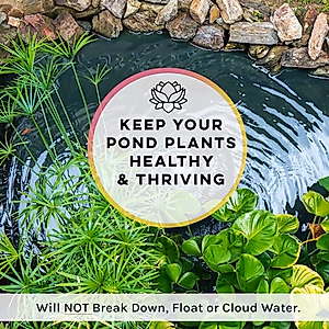 MICROBE-LIFT MLCAPM10 Concentrated Aquatic Planting Media for Accelerated Plant Growth in Ponds and Water Gardens, 10 Pounds