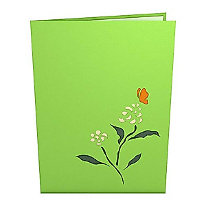 Lovepop Butterfly Pop Up Card, 5x7-3D Greeting Card, Mother's Day Card, Card for Wife or Mom, Anniversary Pop Up Card, Pop Up Birthday Card