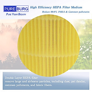 PUREBURG RP-AP088 Replacement Filters Compatible with RENPHO RP-AP088-F1 Fits RP-AP088W RP-AP088B Air Purifiers,2-Pack H13 HEPA Activated Carbon 2-in-1