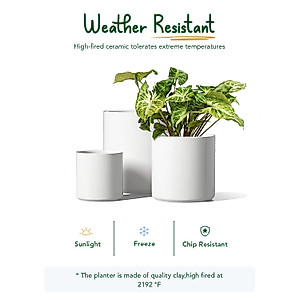 LE TAUCI Ceramic Plant Pots Indoor, 10 Inch 8 Inch 6 Inch Planters for Indoor Plants, Mid-Century Modern Flower Pots with Drainage Hole and Plug, Cylinder Round Planter Pots, Set of 3, White