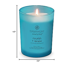 Chesapeake Bay Candle Mind & Body Medium Jar Candle, Nourish + Renew (Coconut & Sandalwood)