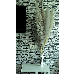 Natural & Dried Pampas Grass Plant Tall Gray 48"/120Cm 5 Stem 27+ Inch Plume for Flower Arrangement & Vase Decoration – Boho Bohemian Garden & Farmhouse Luxury Decor for Home,Wedding