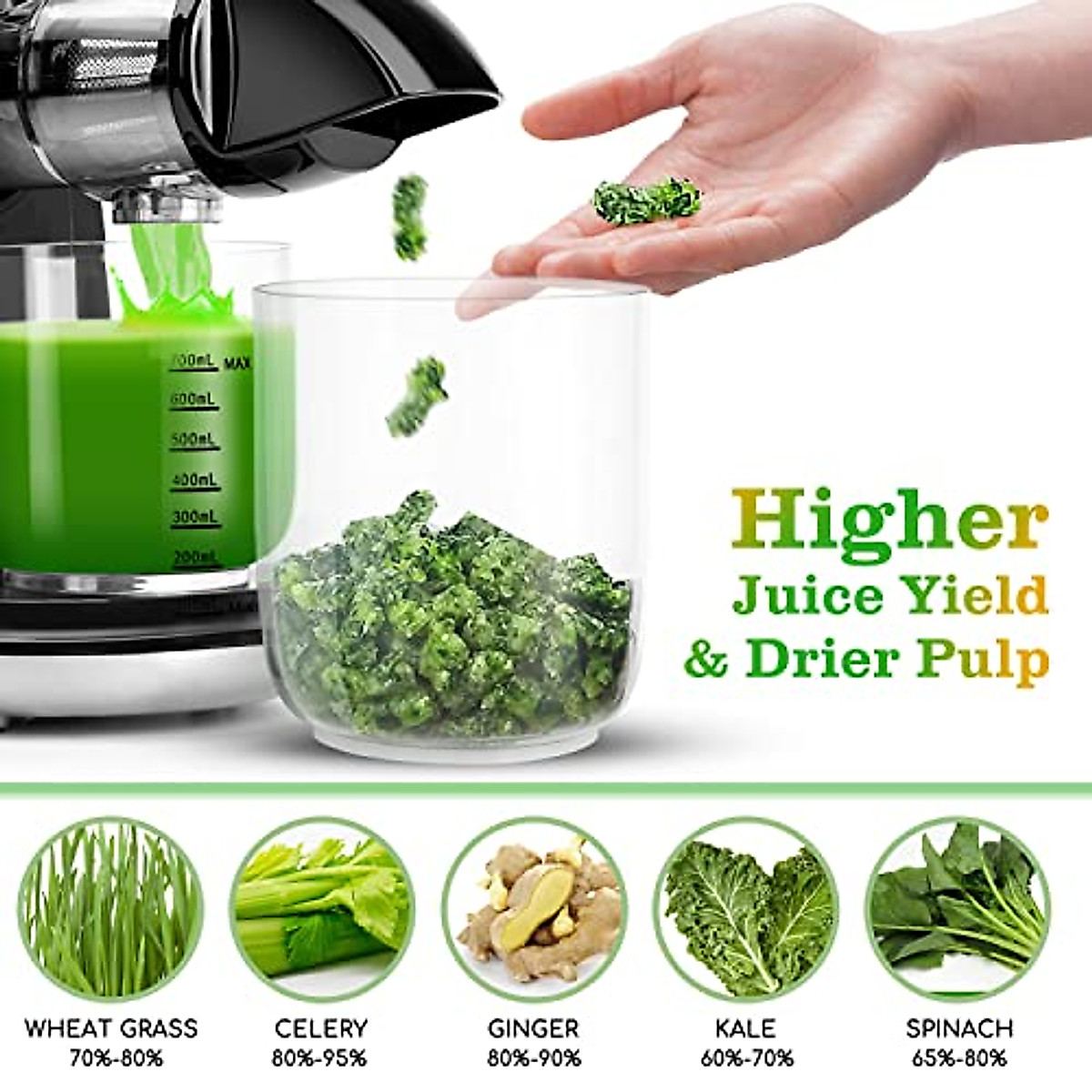 Juicer Machines, Taylor Swoden Slow Masticating Juicer with Reverse Function & Quiet Motor, Cold Press Juicer Machine with High Juice Output, Juicer Extractor Easy to Clean, include Brush & Recipes