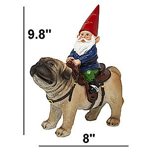 Funny Guy Mugs Garden Gnome Statue - Gnome Riding a Pug - Indoor/Outdoor Garden Gnome Sculpture for Patio, Yard or Lawn