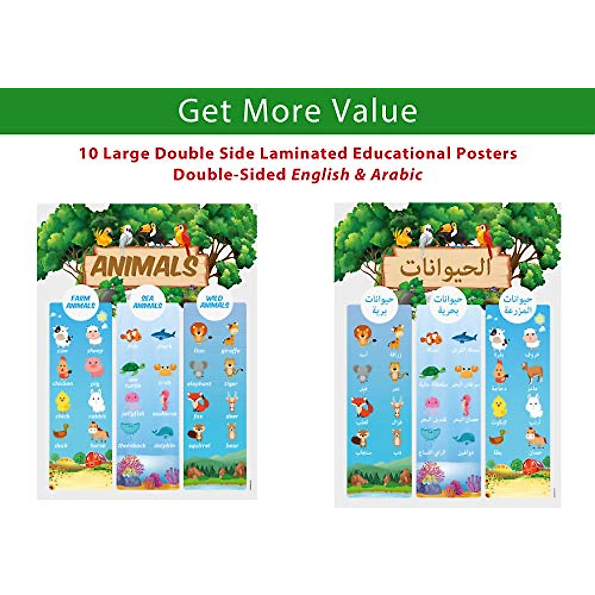 Dosmaxx 10 Large Arabic&English Educational Posters for Kids,Arabic Alphabet for Kids,Preschool, Homeschool,and Elementary Classroom Displays,Teach Numbers,Colors,Animals,Arabic Letters,Weather