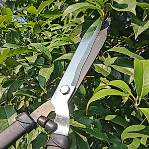 YRTSH Hedge Clippers Shears Hedge Shears for Trimming Borders, Garden Tools Hedge Clippers, Bush Cutters Trimmer with Sharp Wavy Blades, Garden Shears for Hedges (19 Inch)