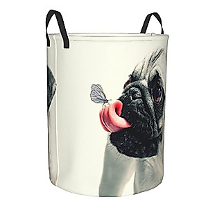 FeHuew Funny Chubby Pug Dog Collapsible Laundry Basket with Handle Waterproof Fabric Hamper Laundry Storage Baskets Organizer Large Bins for Dirty Clothes,toys,Bathroom