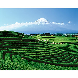 Palais des Thés - Thé Du Hammam - Premium Green Tea with Berries, Green Dates, Rose, and Orange Flower Water - 20 Count Biodegradable Cotton Tea Bags Box