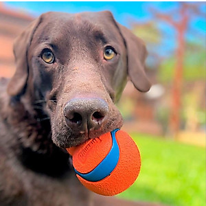 Chuckit! Ultra Tumbler Dog Fetch Toy