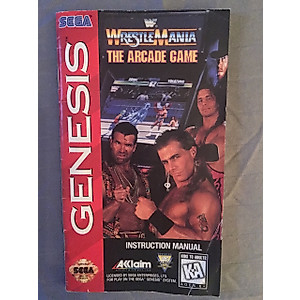 WWF Arcade Game