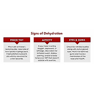 Electro-Cell II Electrolyte Paste for Horses -5-Pack (10 doses)