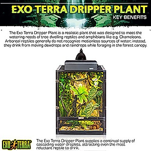 Exo Terra Dripper Plant, Small
