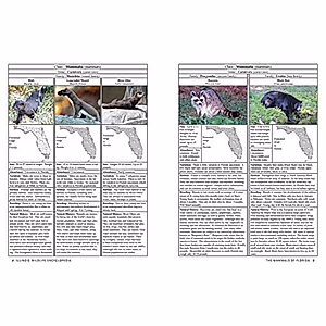 Florida Wildlife Encyclopedia: An Illustrated Guide to Birds, Fish, Mammals, Reptiles, and Amphibians