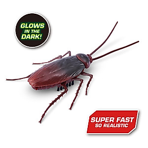 Robo Alive Crawling Cockroach Glow in The Dark (2 Pack) by ZURU Battery-Powered Robotic Interactive Electronic Cockroach Toy That Moves and Crawls, Prankst Toys for Boys, Kids, Teens