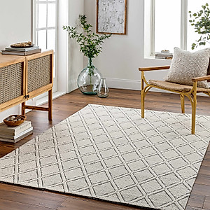 Hauteloom Aeron Wool Living Room, Bedroom Area Rug - Beige, Gray - 8' x 10'