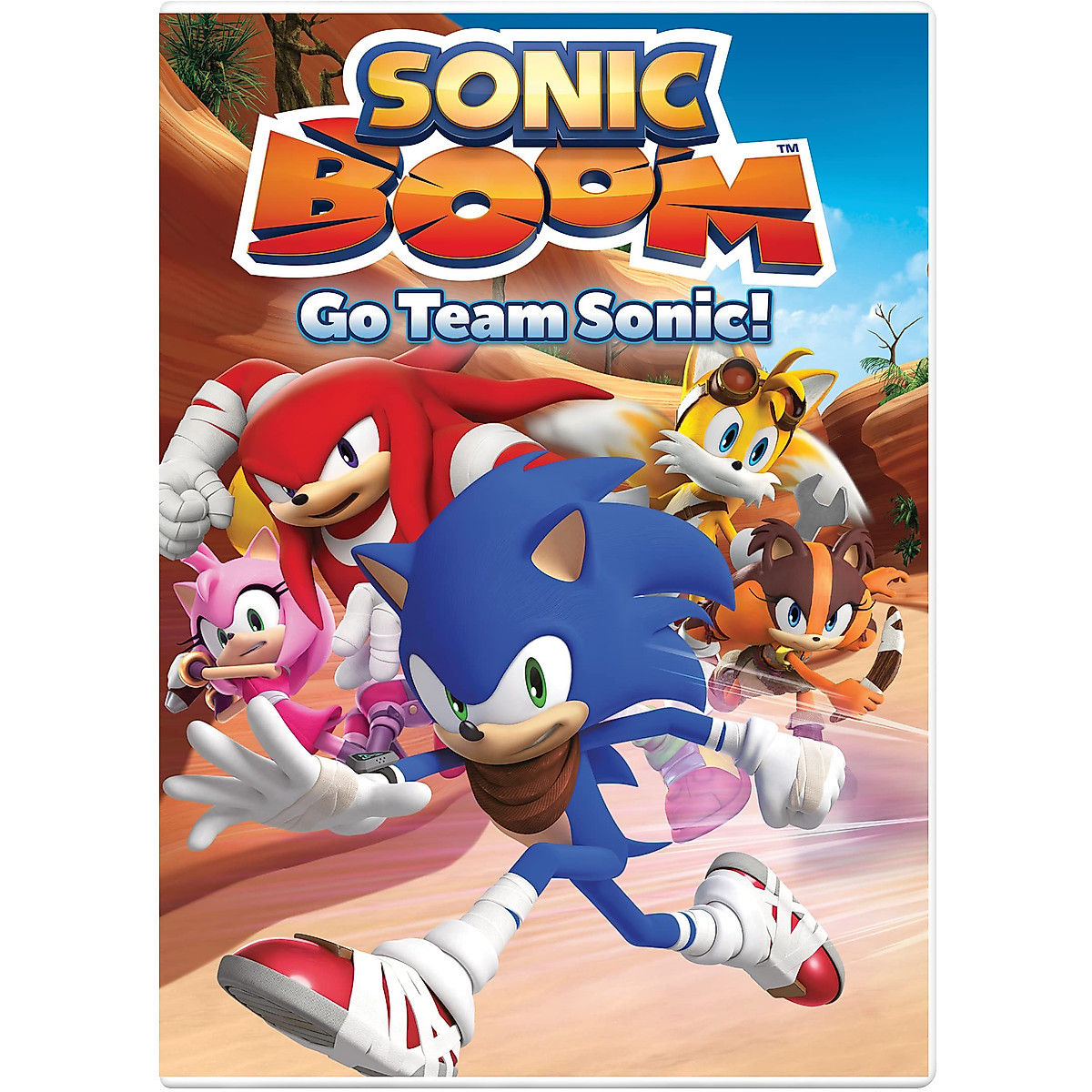 SONIC BOOM: GO TEAM SONIC
