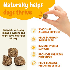 Inner Paw Dog Allergy Chews – 120 Soft Chews for Dog Allergy Relief – Natural Vegetable Flavor Allergy Immune Supplement for Dogs – Soothing and Calming Dog Treats