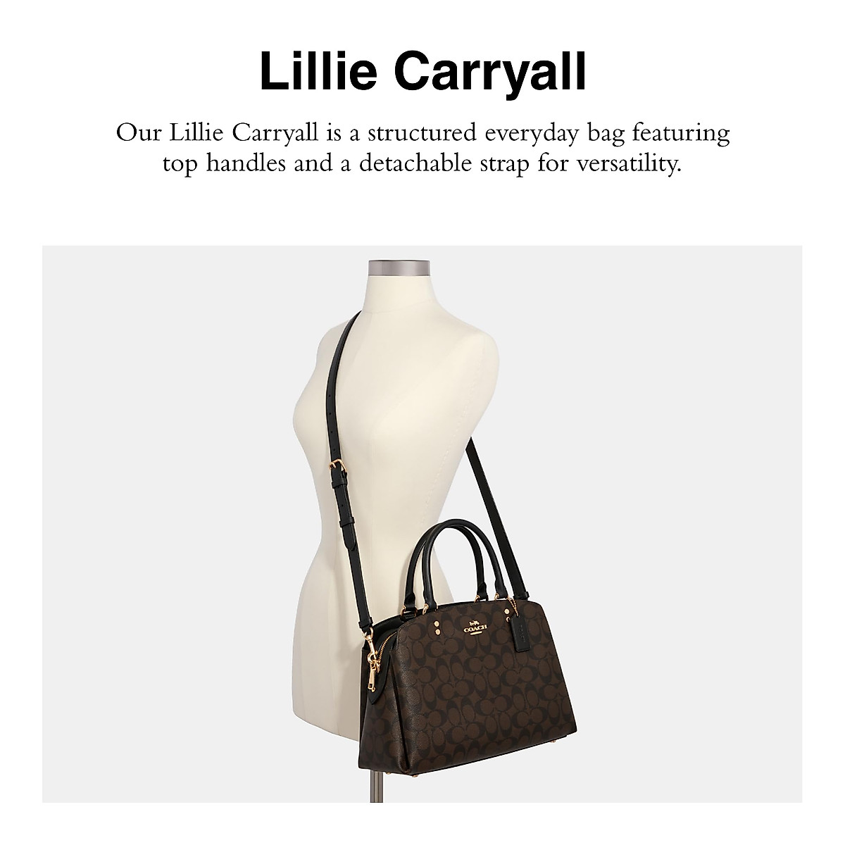 COACH Lillie Carryall, Brown Black