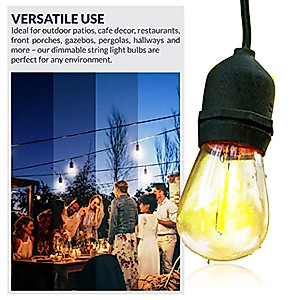 Newhouse Lighting S14LED18 Outdoor Weatherproof S14 String Light Bulbs, 18 Count (Pack of 1)