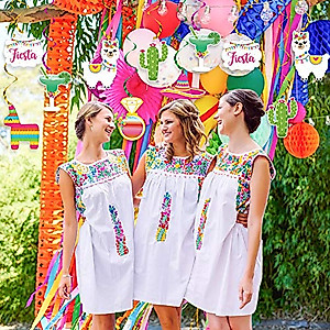Mexican Final Fiesta Hanging Swirl Decorations, Final Fiesta Bachelorette Bridal Shower Party Decorations Llama Cactus Garland for Bachelorette Bridal Shower Bride to Be Engagement Wedding Party