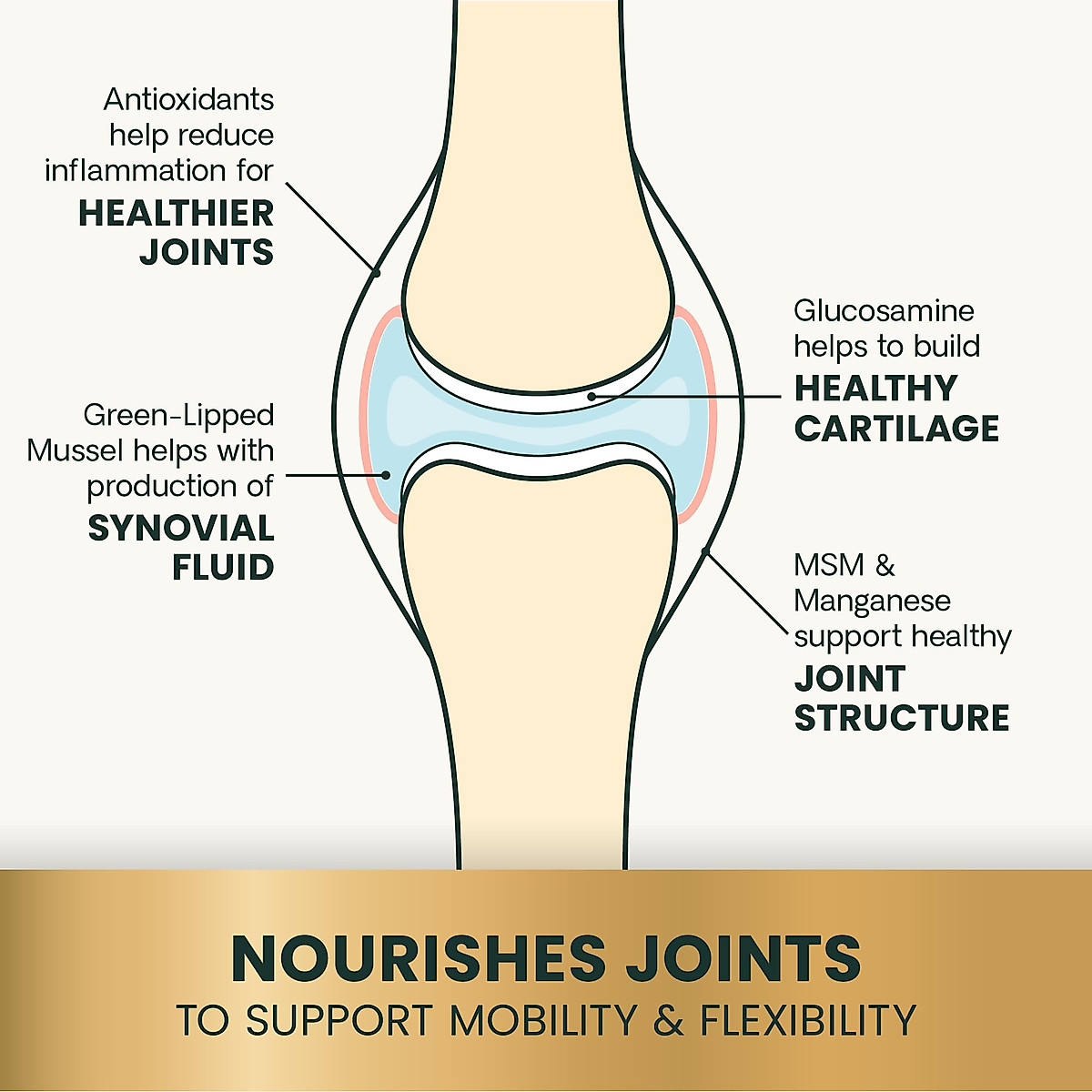 VetriScience GlycoFlex Plus Hip and Joint Supplement for Dogs – Extra-Strength Joint Support Chews with Green Lipped Mussel, Chondroitin, and Glucosamine for Dogs