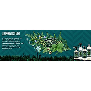 Caldrea Multi-Surface Countertop Spray Cleaner, Made with Vegetable Protein Extract, Juniper Laurel Mint Scent, 16 oz