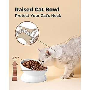 LoeJan Elevated Cat Food Bowl, 5 Oz Ceramic Raised and Tilted Water Bowl, Anti Vomiting and Protect Pets' Spines Dishes for Small Dog, Fat Faced Cat, Kitten (White, 1 Pack)