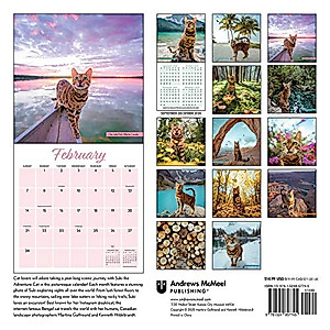 Suki the Adventure Cat 2021 Wall Calendar