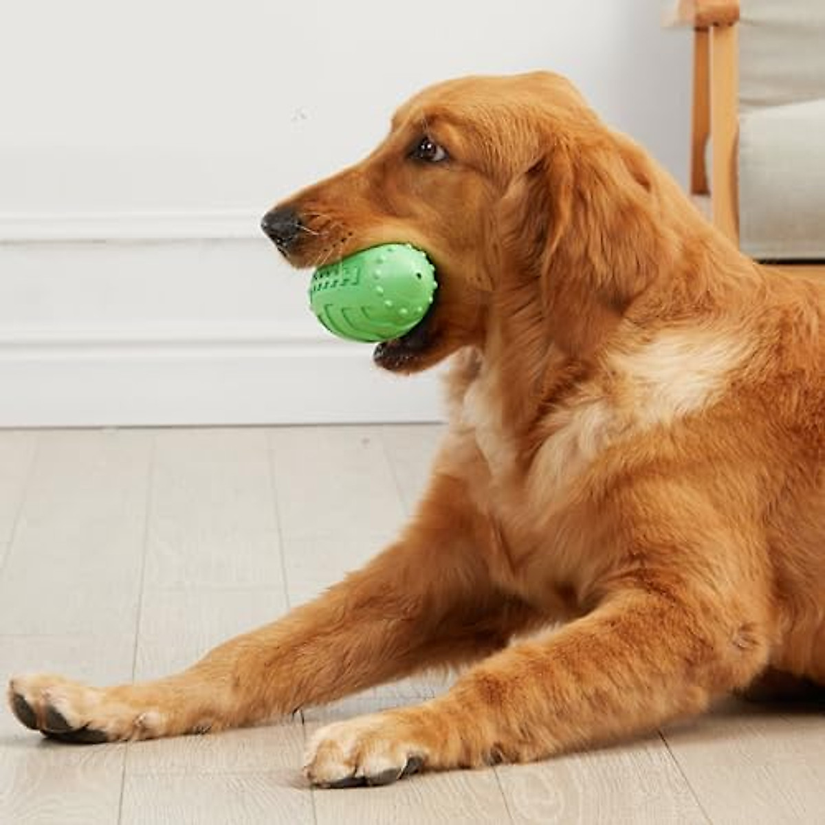 Pet Teething Toy, Odorless Rubber Squeaky Dog Toy Ball, Durable Soft Dog Chew Ball with Whistle, Small Medium Puppy Chew Ball for Playing Training Interacting Teeth Cleaning