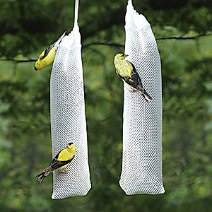 Happy Wings Nyjer/Thistle Seeds Wild Bird Food - (Pack of 2, 13 Ounce x 2) | Prefilled Sock | No Grow Seed | Bird Seeds for Wild Birds