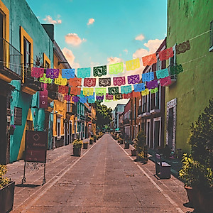 CLOVER CUTS, 50 Multi-Colored Felt Papel Picado Banners, Fiesta Party Decorations, Cinco de Mayo Decorations, Día de Los Muertos Decorations