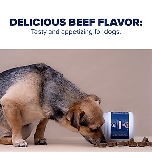 Dr. Jeff Werber Body Boost Multivitamin for Dogs - Heart Shaped Soft Chews with Essential Omega Fatty Acids, Vitamins and Minerals of Dogs - Tasty Beef Flavor - 60 ct.