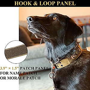 JiePai Military Dog Collar Adjustable Nylon k9 Tactical Dog Collar with D-Ring & Buckle Collars for Medium Large Dogs (Ranger Green,L)